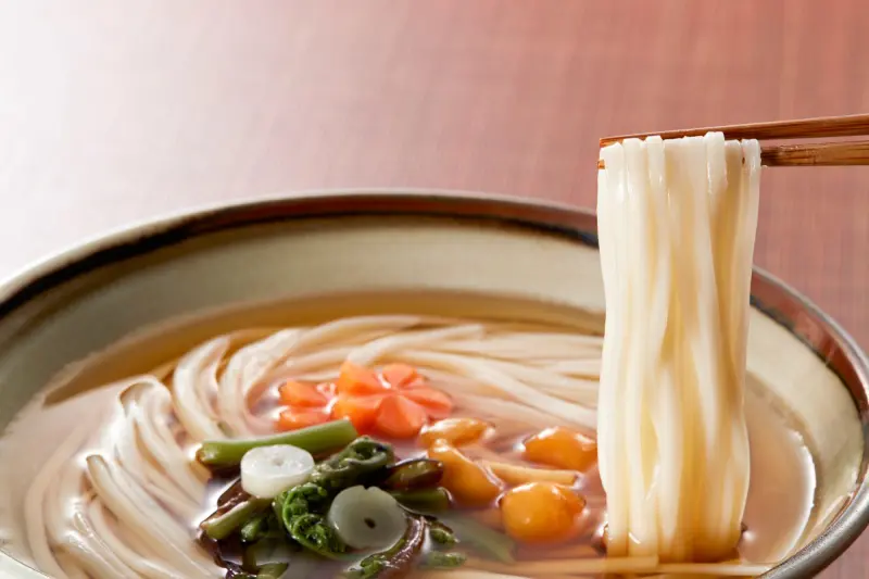 Everything You Need to Know About Udon Noodles in Japan - WAmazing Discover
