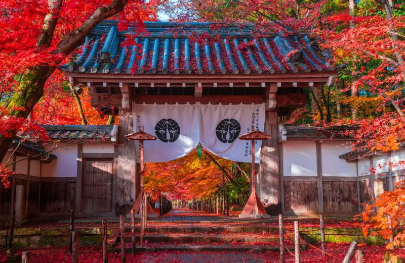 Visit Kyoto's Best Fall Foliage Spots and Attractions - WAmazing Discover